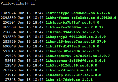 Pillow 8.2.0, external libraries have some CVE · Issue #5544 · python ...
