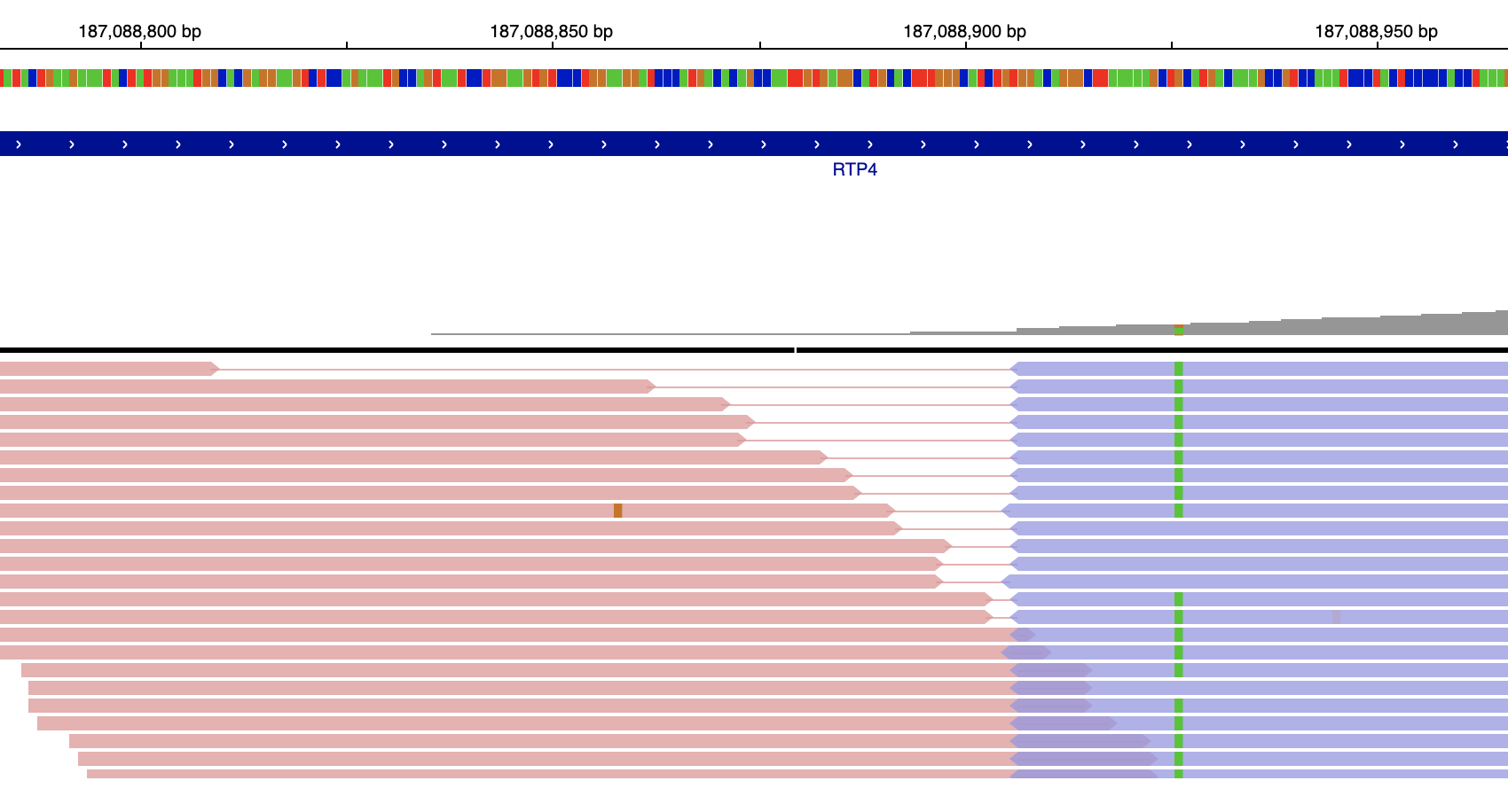 Different color between paired strands · Issue #916 · igvteam/igv.js · GitHub