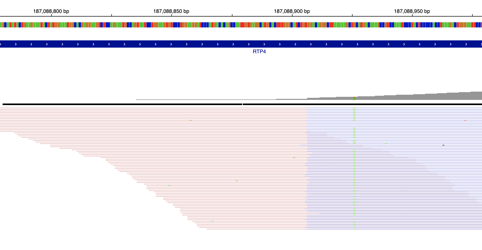 Different color between paired strands · Issue #916 · igvteam/igv.js ...