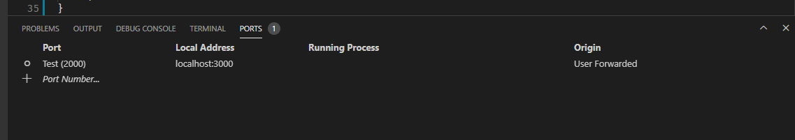 Ports: Add placeholder text in "New Port" row · Issue #117589 · microsoft/vscode · GitHub