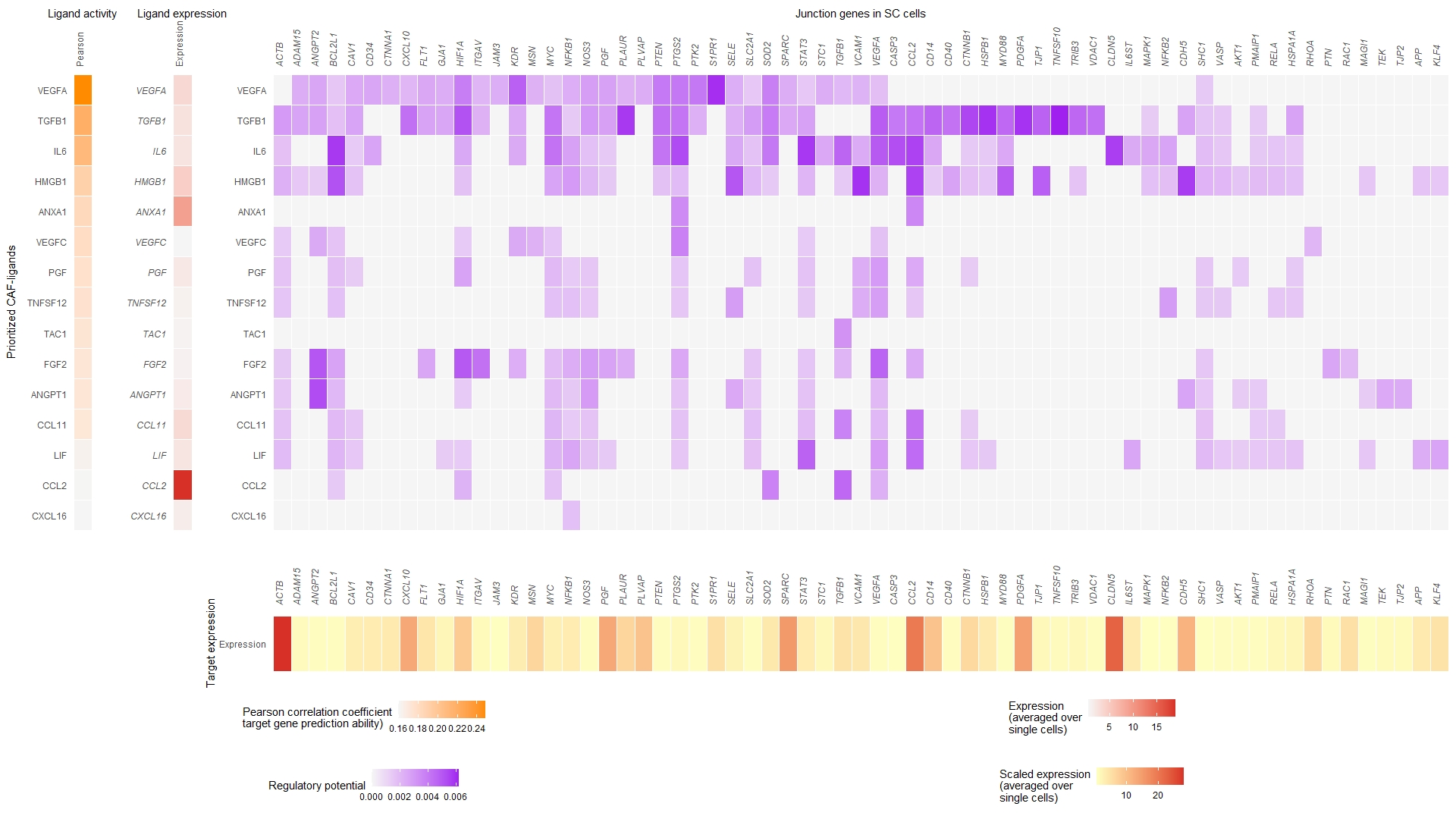 GitHub - lurenhaothu/Nichenet-analysis-TM-SC-glaucoma