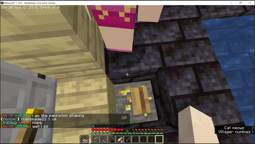 Paper Anti X-Ray 1.16 Blocks Visual Glitch · Issue #4630 · PaperMC ...