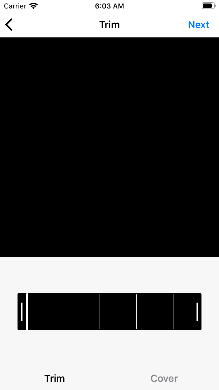 start capturing video but not able to capture video just display black screen. · Issue #404 ...