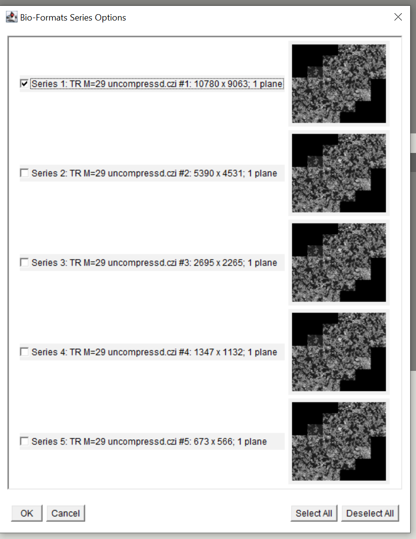 Opening CZI compressed with ZSTD does not allow access to series (pyramid levels) · Issue #4110 ...