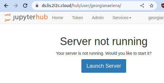 Admin Page Shows Stopaccess Links For Stopped Servers · Issue 4361 · Jupyterhubjupyterhub