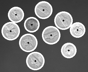 DLIP_doc/image-processing/tutorial/tutorial-opencv-python.md at master · ykkimhgu/DLIP_doc · GitHub