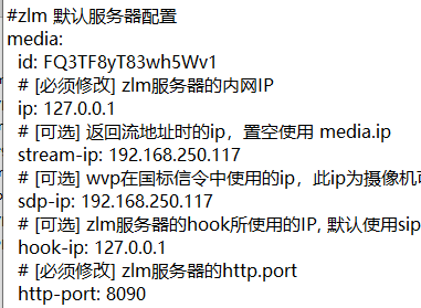 使用docker部署，点播回来的流的IP是乱码，录像的流没问题 · Issue #776 · 648540858/wvp-GB28181-pro · GitHub