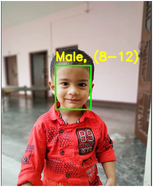 GitHub - jaideepchauhan-ds/Gender-and-Age-Detection-with-OpenCV: Gender and age detector of the ...