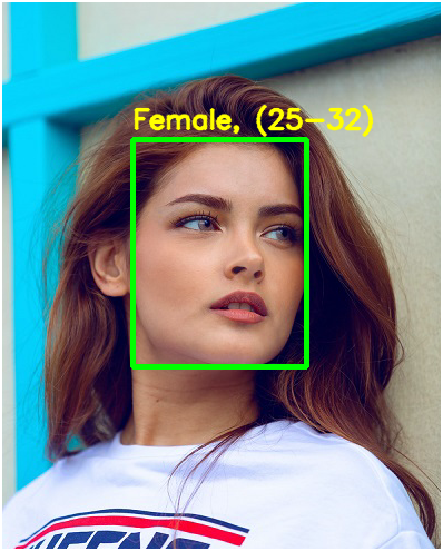 GitHub - jaideepchauhan-ds/Gender-and-Age-Detection-with-OpenCV: Gender and age detector of the ...