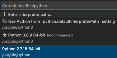 Wrong interpreter version being shown in status bar and command palette · Issue #18428 ...