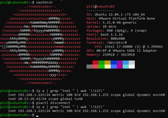 dnsx sometimes eats piped inputs and doesn't pipe out · Issue #244 ...