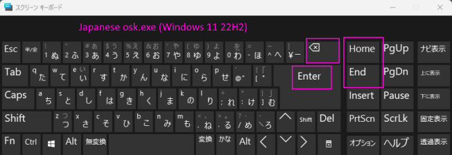 Loc Dont Translate Home Backspace End And Enter Keys In Keysconverter For Japanese · Issue