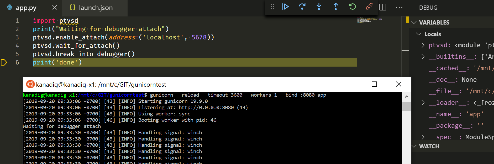 Debugger fails on Gunicorn Launched Application · Issue #1793 ...