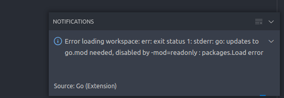 Error Loading Workspace Updates To Gomod Needed Disabled By Modreadonly · Issue 1229