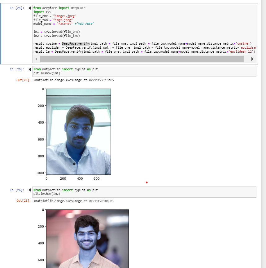 Incorrect API Predictions in [DeepFace.verify] · Issue #853 · serengil/deepface · GitHub