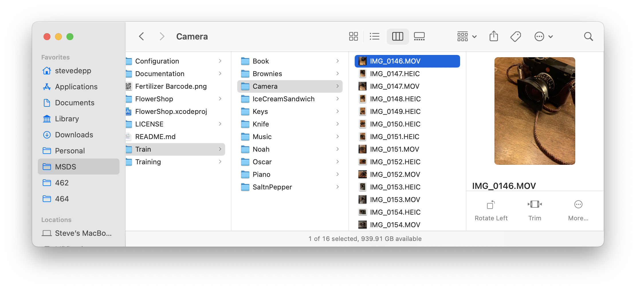 GitHub - stevedepp/CoreMLiPhoneApp: tgif project: a day to develop my first iPhone app that ...