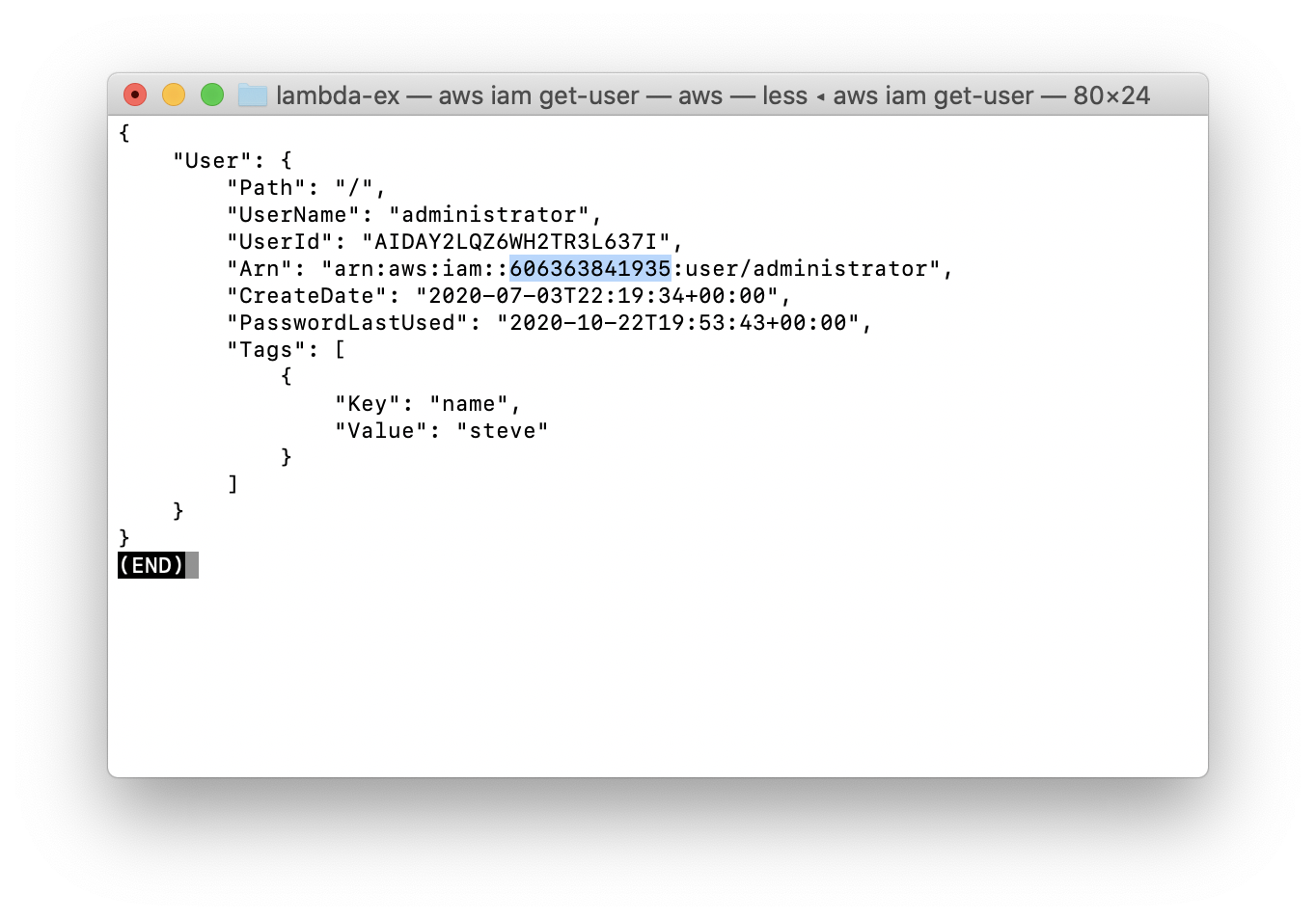 GitHub - stevedepp/make-lambda-aws-cli-v2: Using aws cli to make a ...
