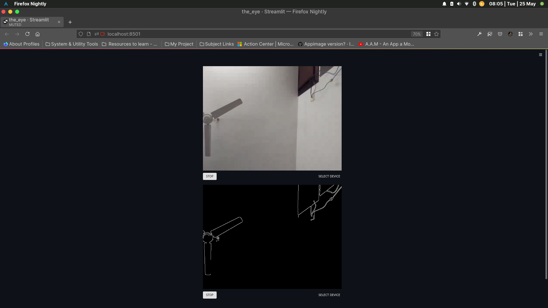 1 input to N outputs · Issue #165 · whitphx/streamlit-webrtc · GitHub