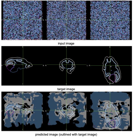 "ValueError: axes don't match array" in sample_segmentation_pairs_d.py · Issue #45 · BBillot ...
