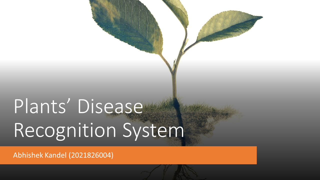 GitHub - abhishekkandel45/Plant-Disease-Recognition-System-PDRS