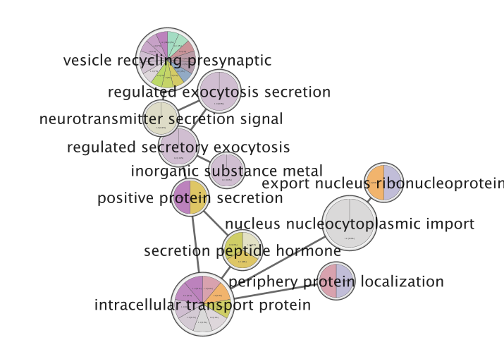Summary network from Dataset coloured network · Issue #172 · BaderLab/AutoAnnotateApp · GitHub
