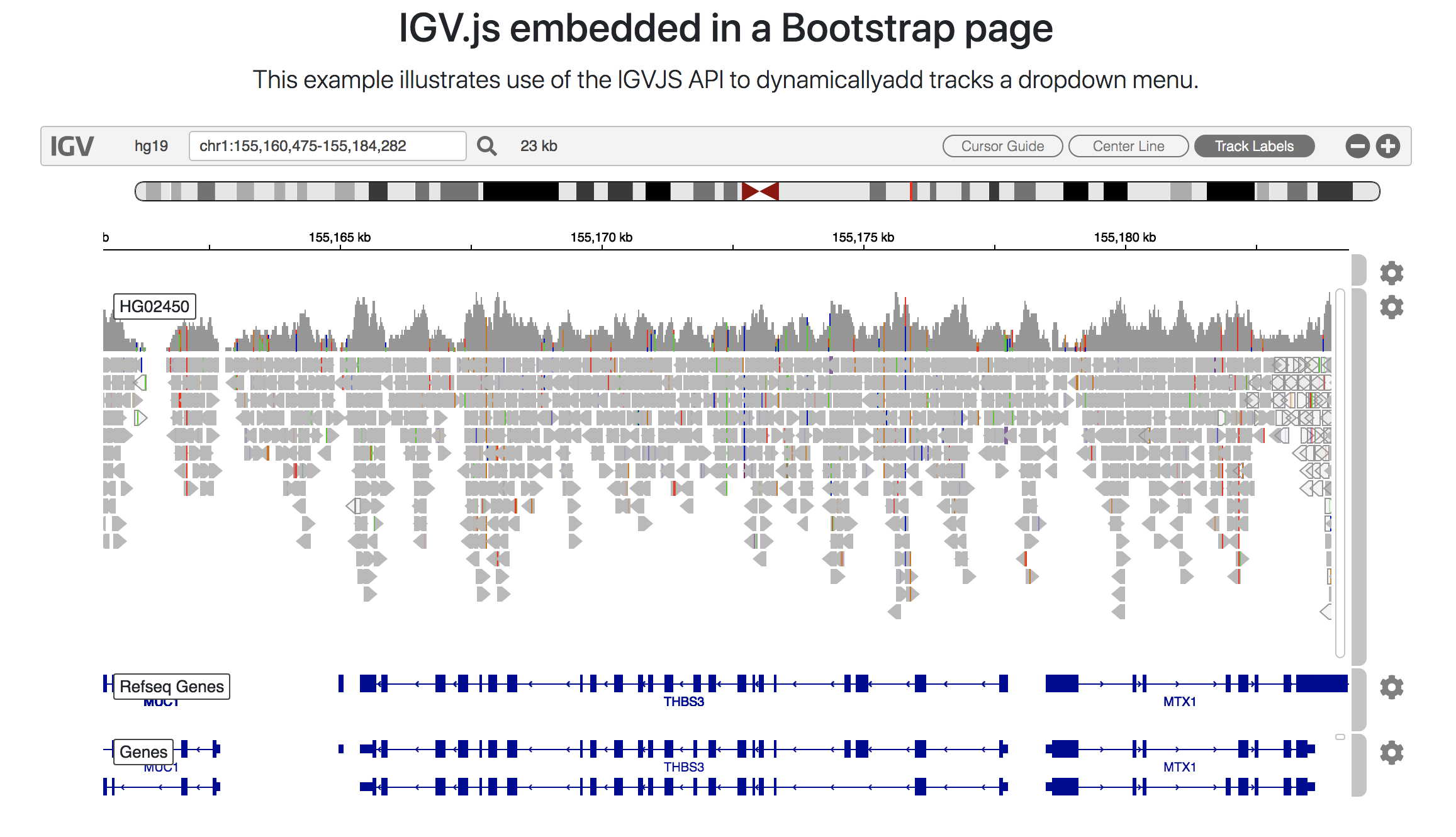 Igv Not Displaying All Reads From Bam File In Api Example · Issue 858 · Igvteam Igv Js · Github