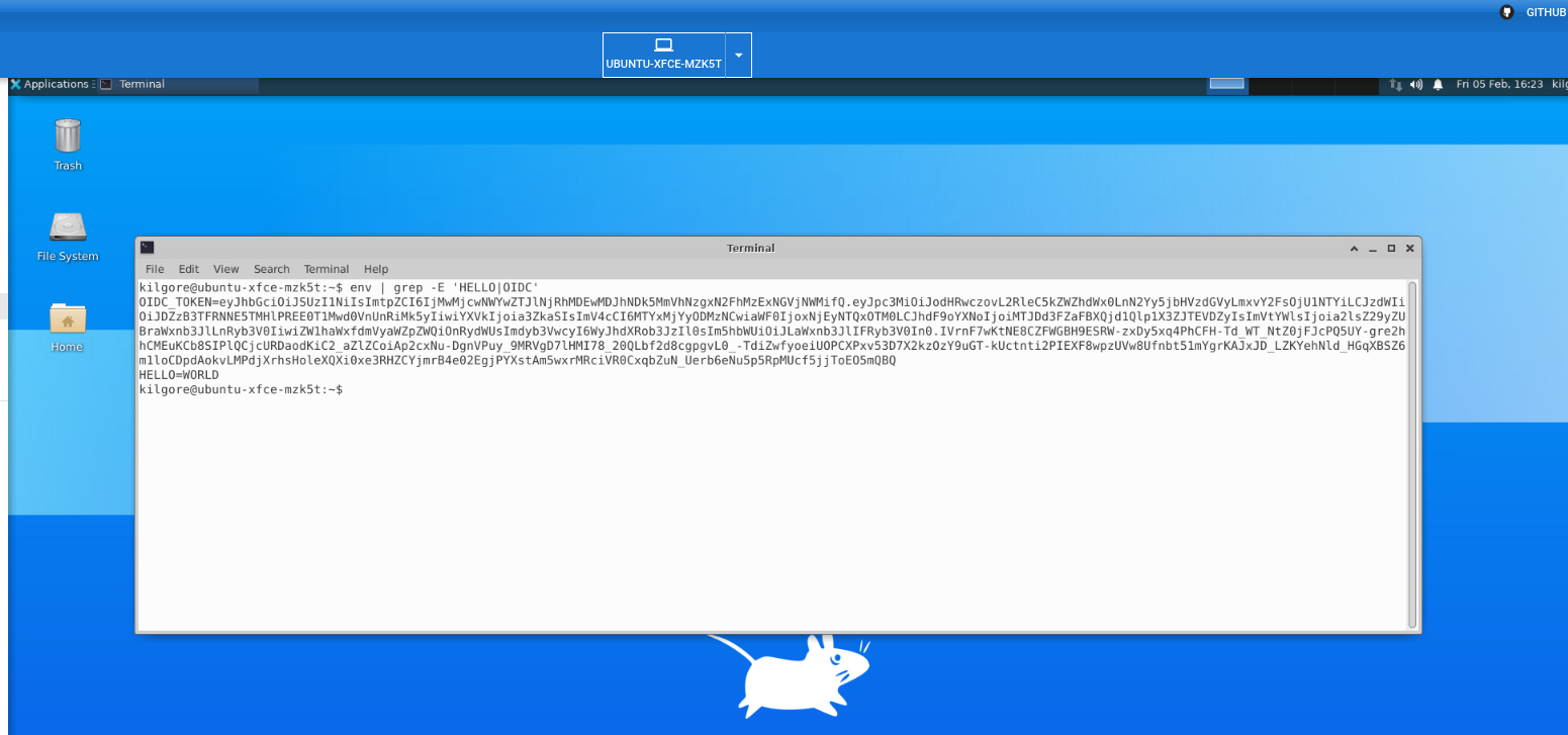 [Q] Is it possible to pass custom env to desktop session? · Issue #19 · webmeshproj/webmesh-vdi ...