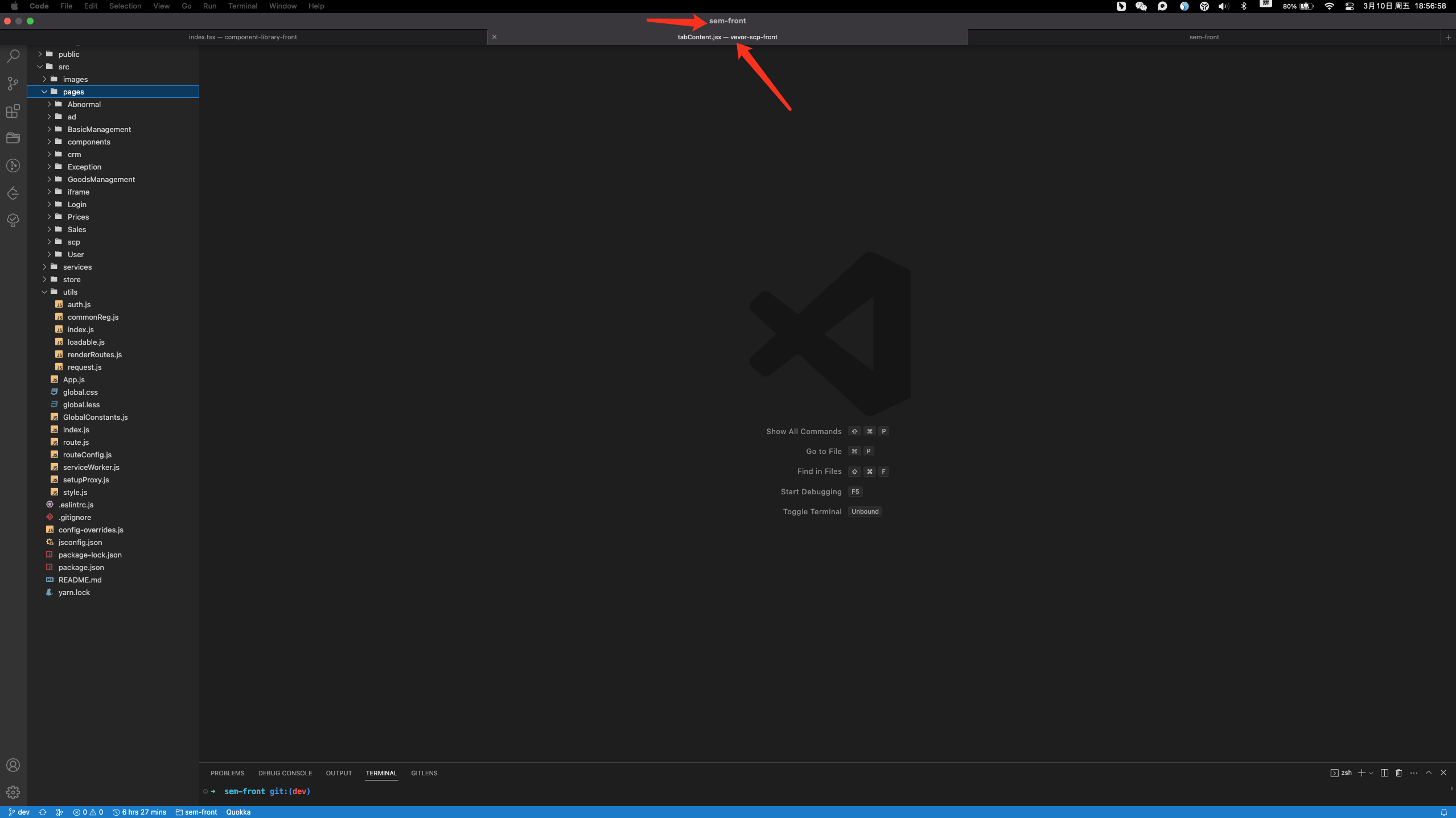MacOS tabs bug · Issue #176750 · microsoft/vscode · GitHub