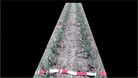 GitHub - WoodratTradeCo/crop-rows-detection: It is an real-time crop ...