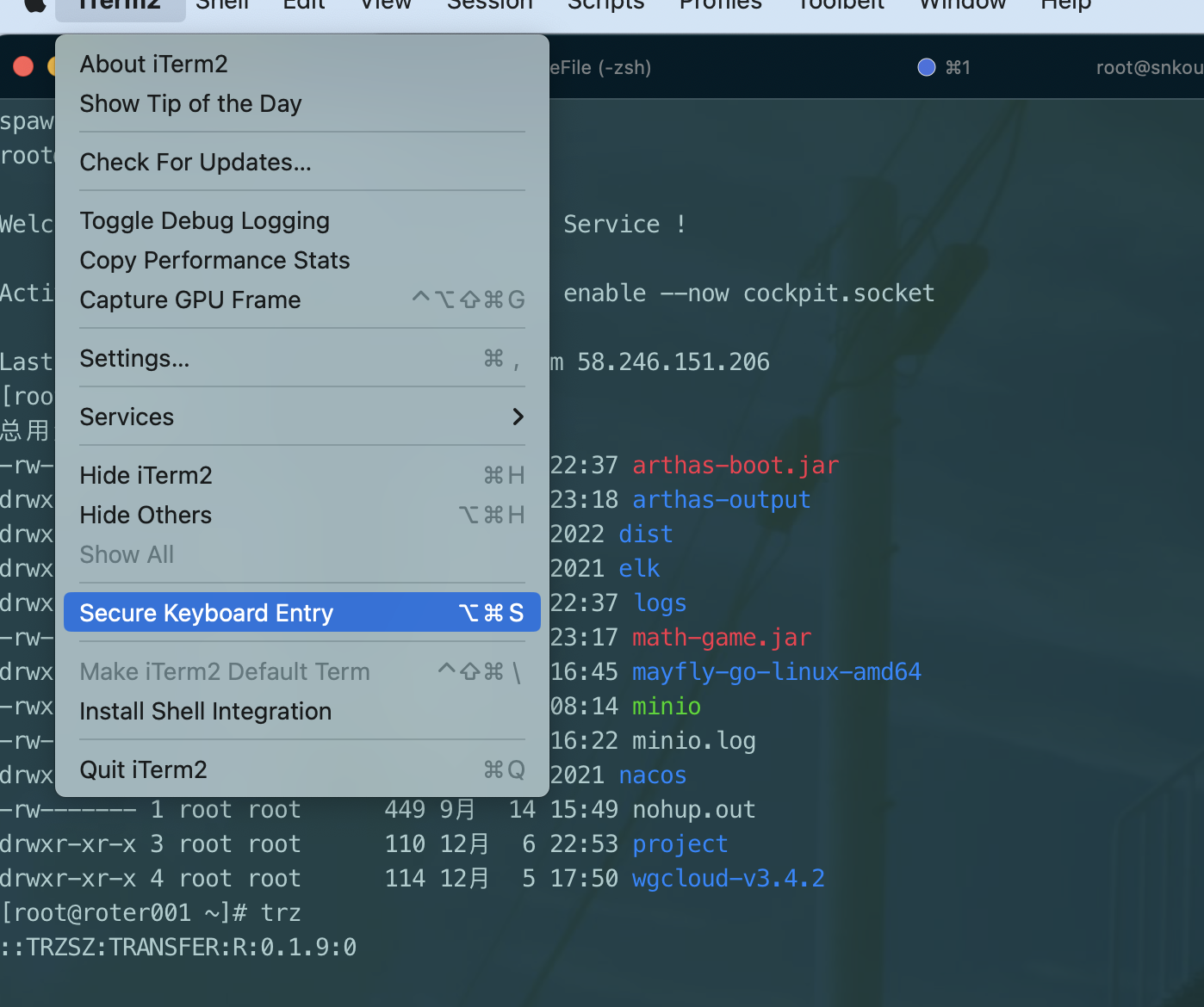 进度条 · Issue #31 · trzsz/trzsz · GitHub
