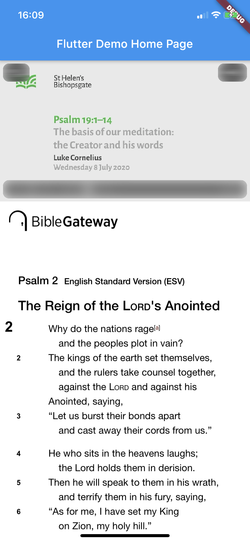 InAppWebview causes Chewie video controls to blur out · Issue #444 ...