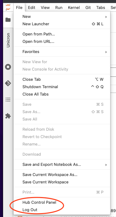 Hub Extension Menu Items No Longer Available · Issue 13687 · Jupyterlab Jupyterlab · Github