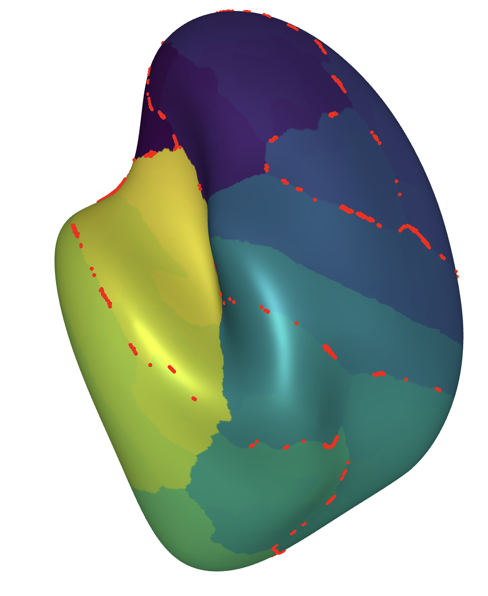 Unknown vertices between fsaverage Cammoun regions · Issue #125 ...