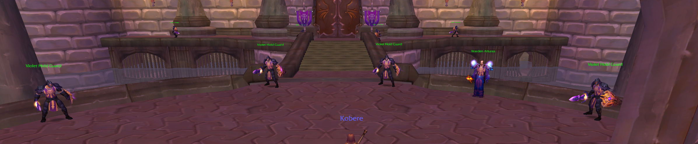 (Creature/Dalaran): Violet Hold Guards are playing a combat ready emote ...