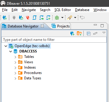 After updating DBEAVER does not display all the schemas of an OpenEdge ...