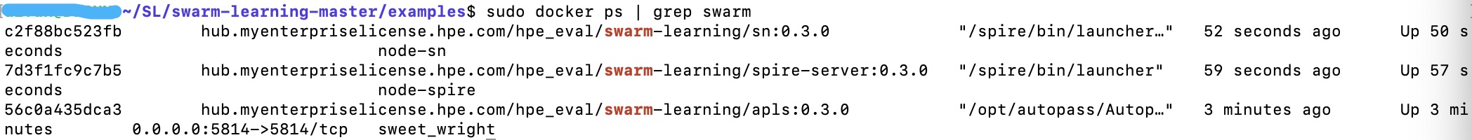 MNIST-Keras issue · Issue #8 · HewlettPackard/swarm-learning · GitHub