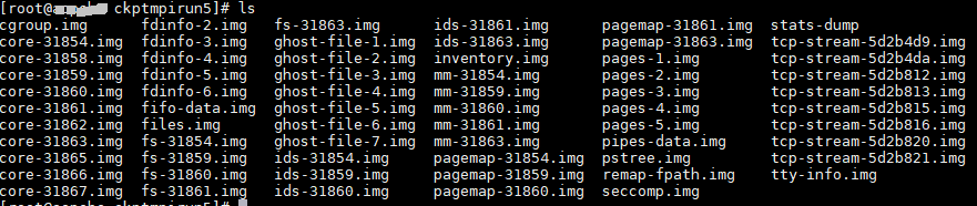 Errors when executing CRIU · Issue #537 · checkpoint-restore/criu · GitHub
