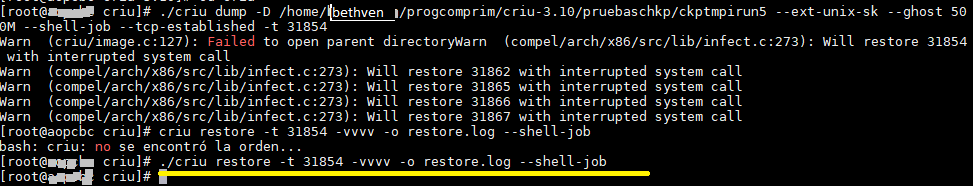 Errors when executing CRIU · Issue #537 · checkpoint-restore/criu · GitHub