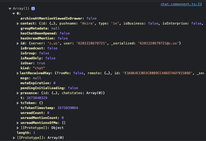 Unconsistent Output · Issue 1504 · Wppconnect Teamwppconnect · Github 
