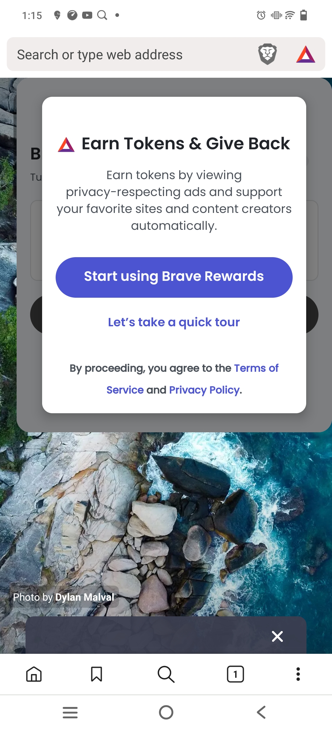 Bat Icon Is Missing In `earn Tokens And Give Back` Rewards Panel · Issue 29049 · Bravebrave 