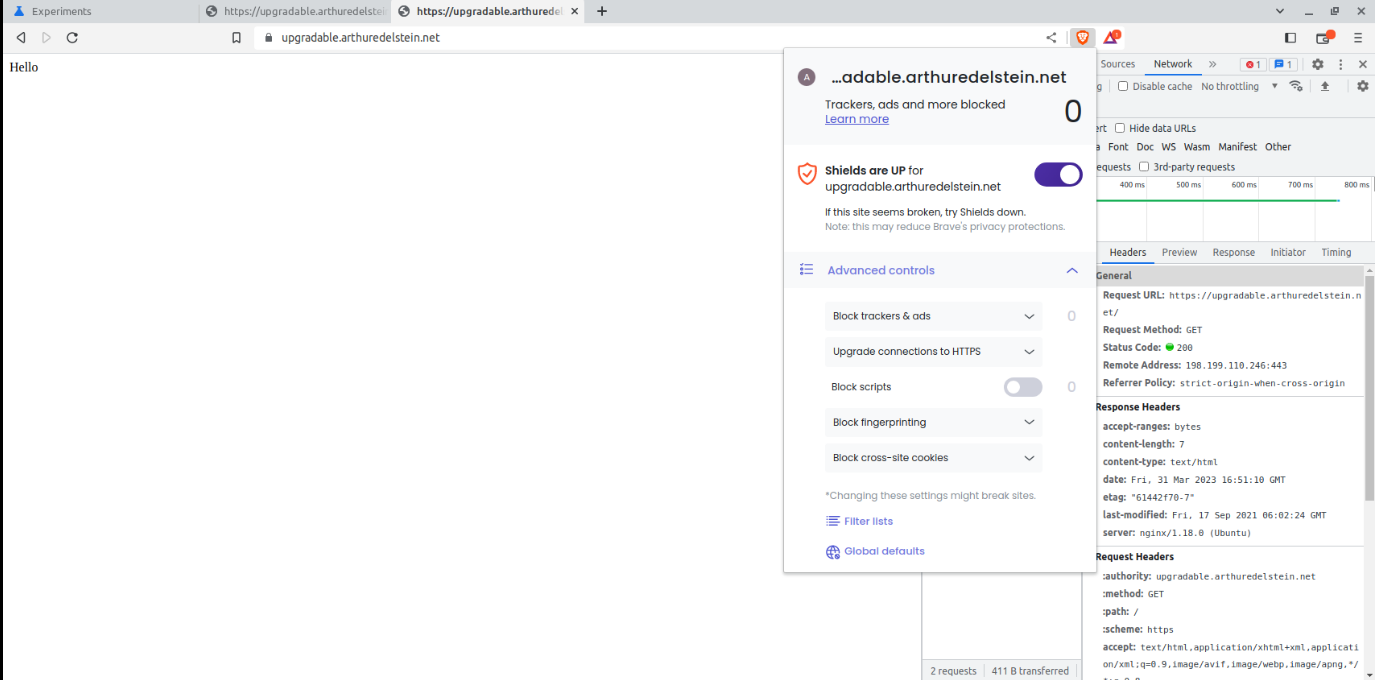Shield Setting From `normal` Windows Are Leaking Into `private` Windows · Issue 28792