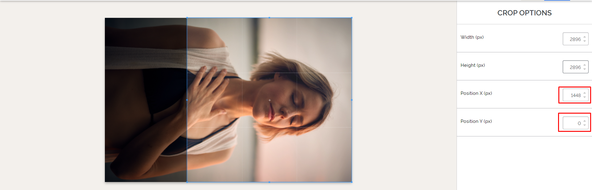 cropped area pixels do not match when image is rotated · Issue #273 · ValentinH/react-easy-crop ...