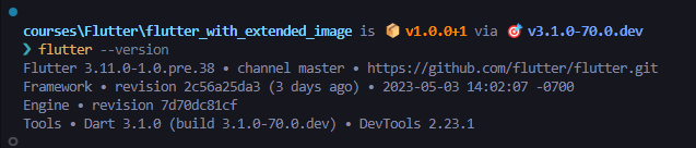 [Bug report] · Issue #570 · fluttercandies/extended_image · GitHub