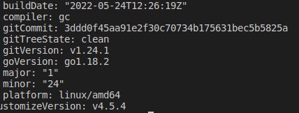parsing kubectl version string (upstream error: error: exec plugin: invalid apiVersion "client ...