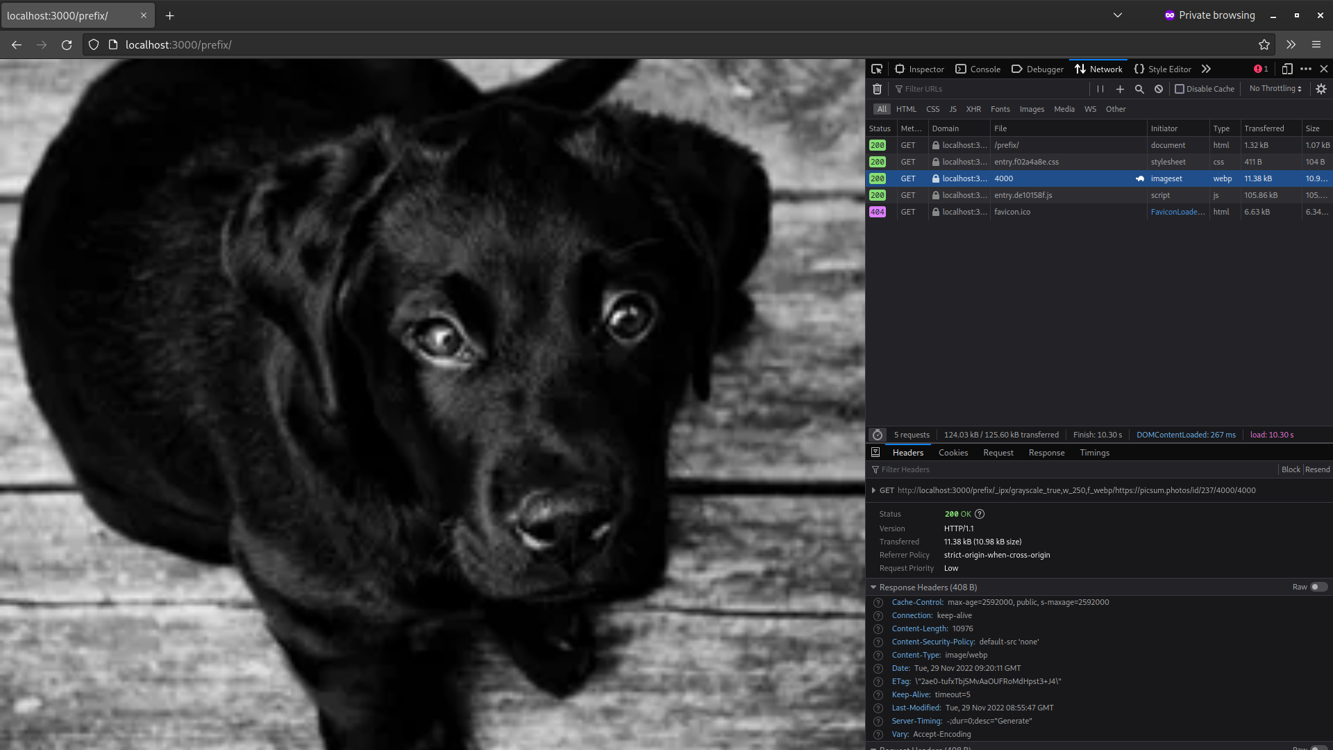 Option to update [ipx.BASE_URL] in nuxt/image config · Issue #665 ...