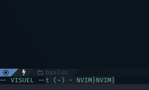 nvim command display · Issue #1084 · NvChad/NvChad · GitHub