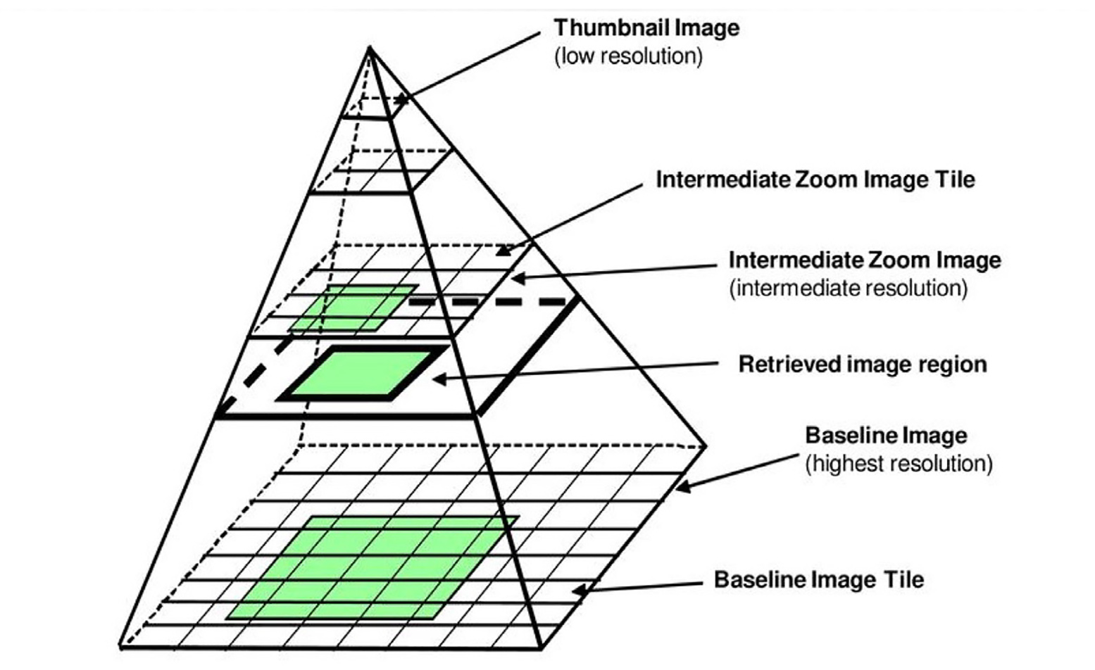 Organizing an image as tiles - DICOM Supplement 145: Whole Slide Microscopic Image · Issue #958 ...
