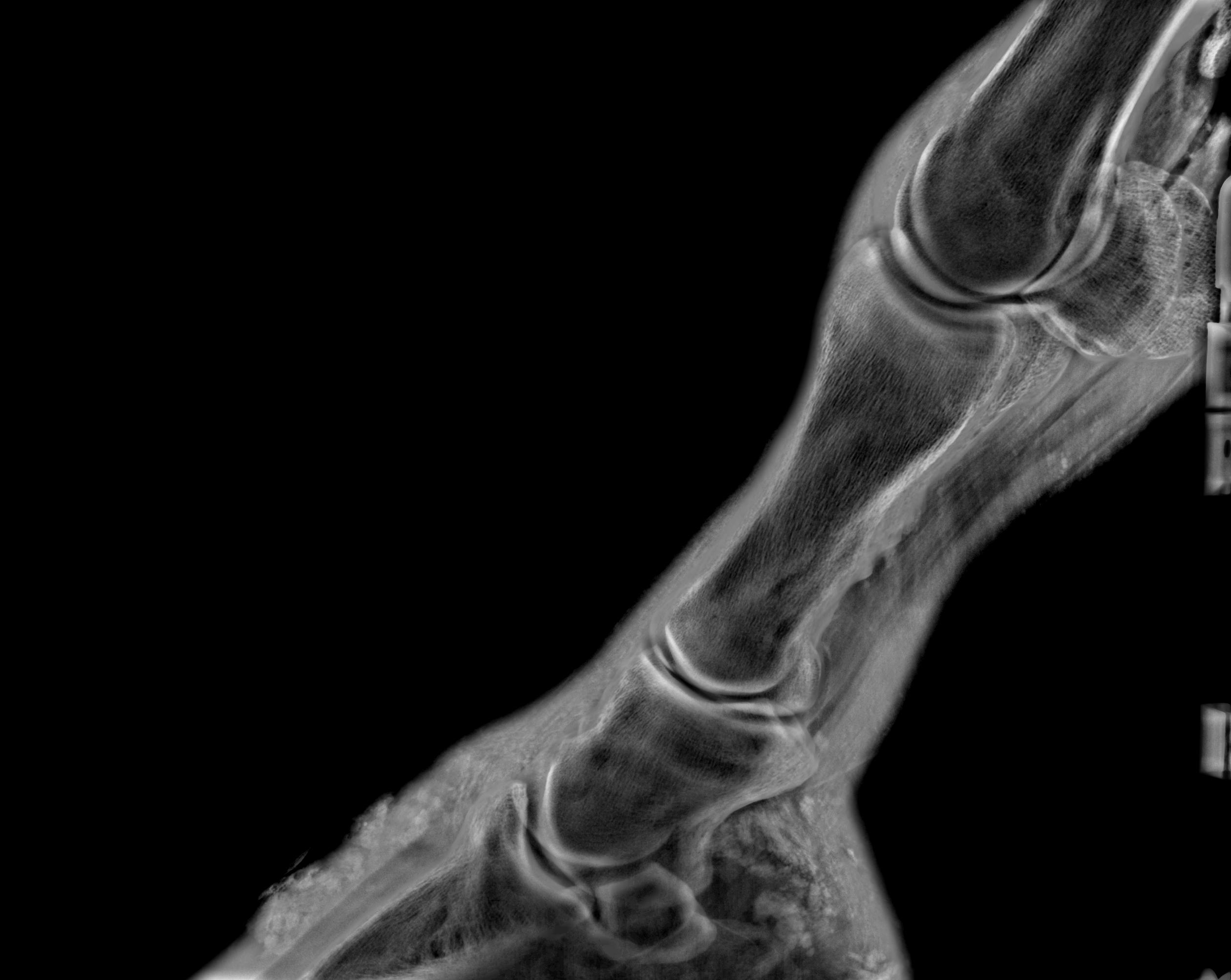 Feature Adaptive Histogram Equalization By Brianpopow Pull Re 