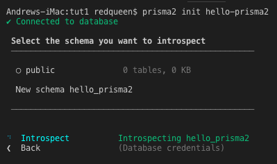 init hangs at 'introspecting database' · Issue #377 · prisma/prisma · GitHub