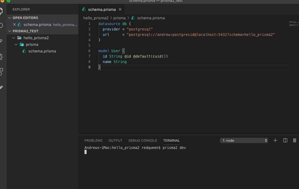 init hangs at 'introspecting database' · Issue #377 · prisma/prisma · GitHub